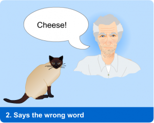 Aphasia 1.1 - CHSS eLearning