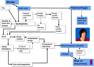 Reducing the risk of recurrence after haemorrhagic stroke - CHSS eLearning