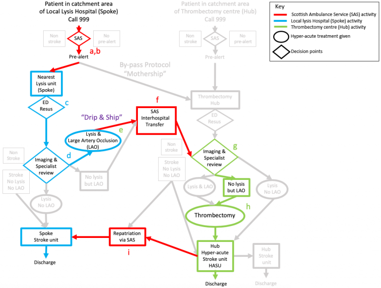 Review of Vera's pathway - drip and ship - CHSS eLearning