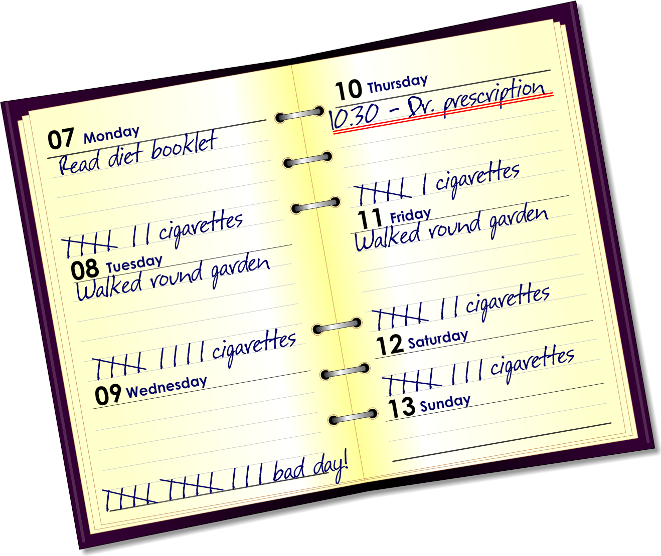 John's diary - CHSS eLearning