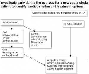 Investigate cardiac rhythm and treatment options - CHSS eLearning