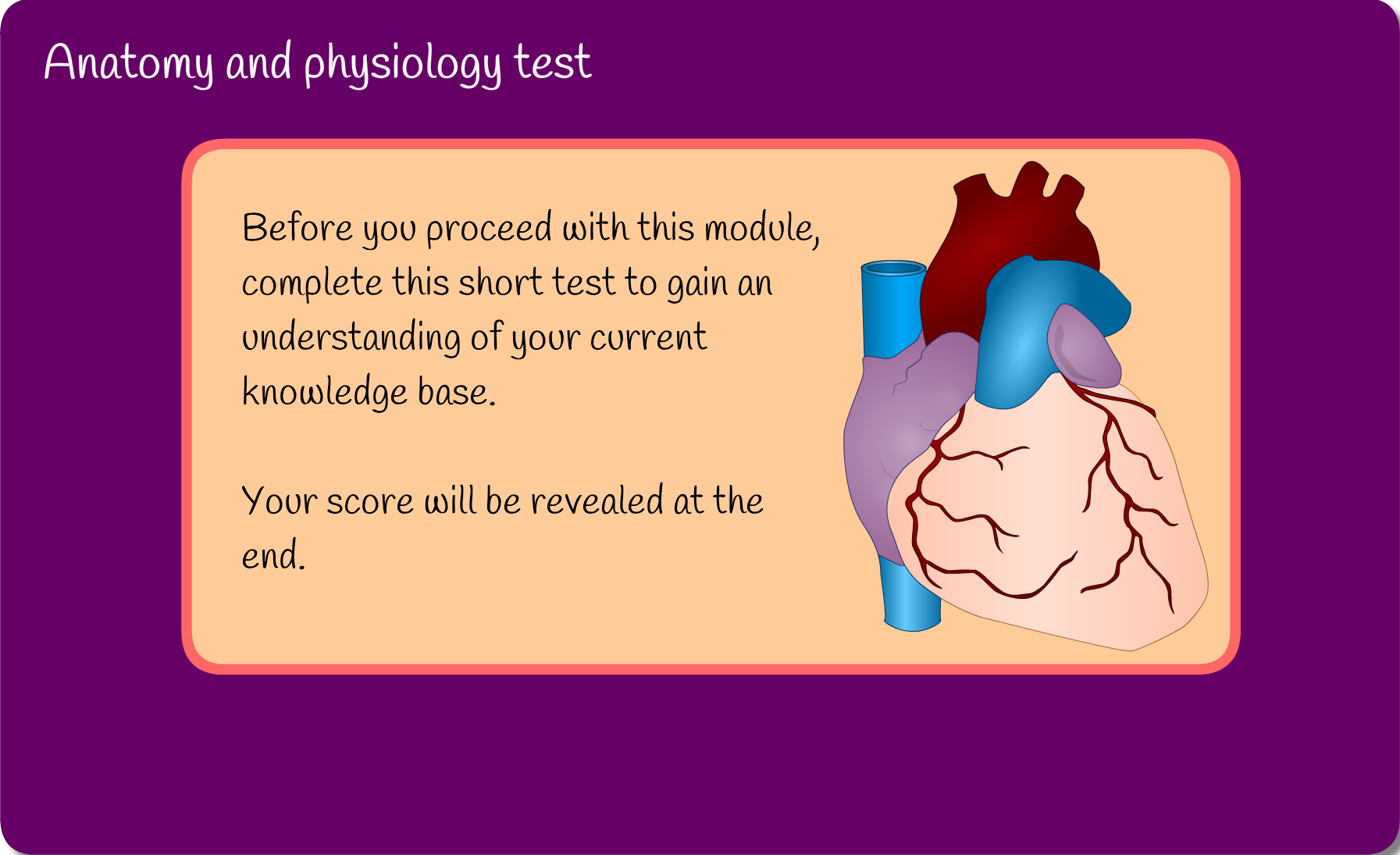Anatomy And Physiology Of Heart Quiz